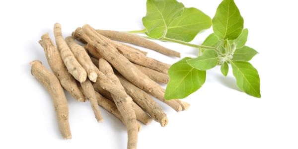 Nootropici za sportaše: Kako poboljšati fokus, koncentraciju i mentalnu ...